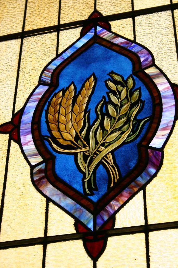 26 | August | 2009 | Minnesota Prairie Roots