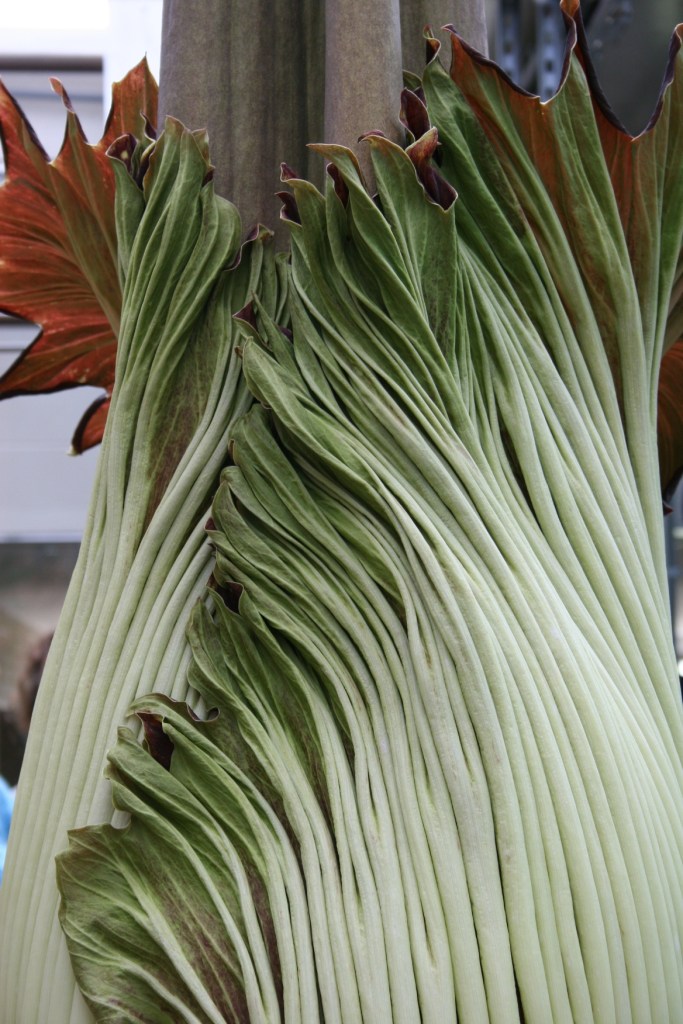 Inside the pearly gates of St. Peter, visitors view the notorious ...