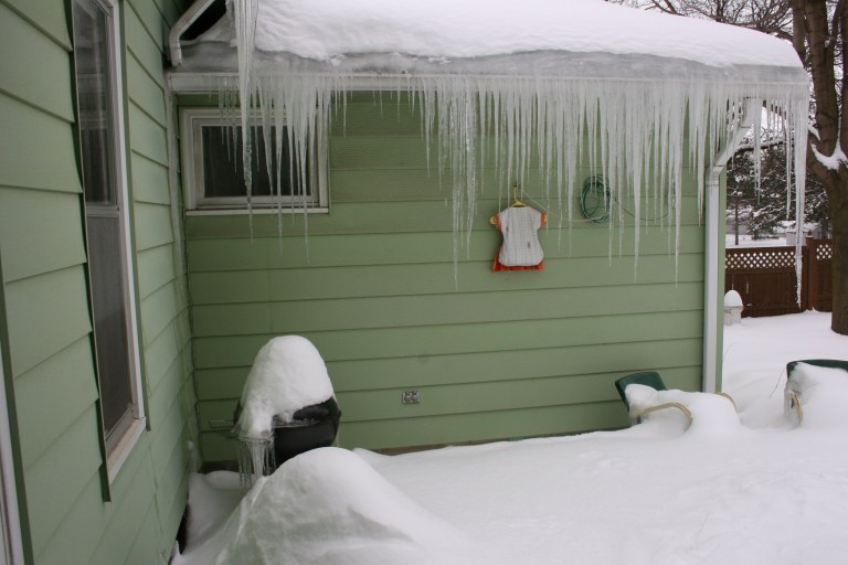 December | 2010 | Minnesota Prairie Roots