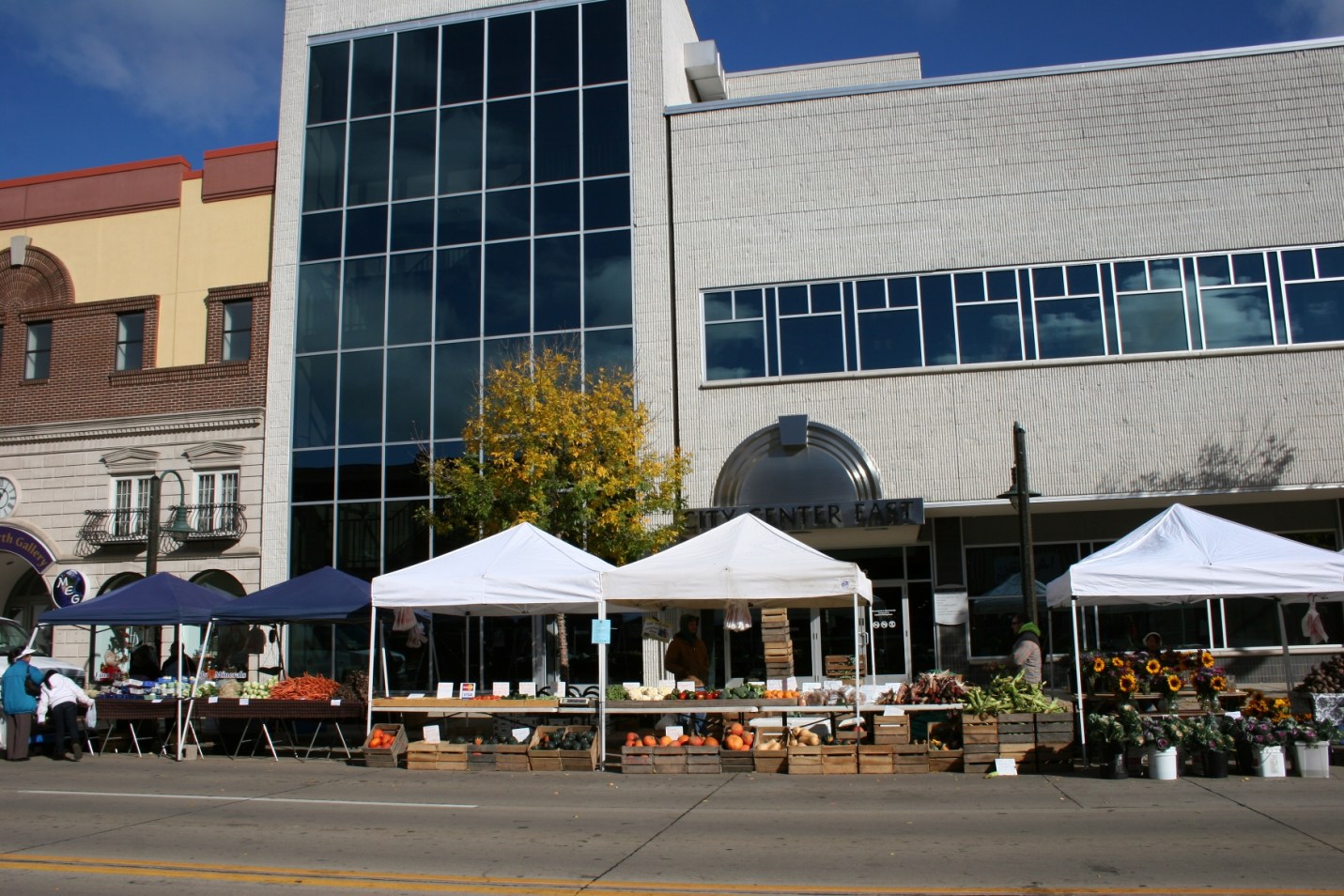 Shopping Wisconsin style at the Appleton Farm Market | Minnesota ...