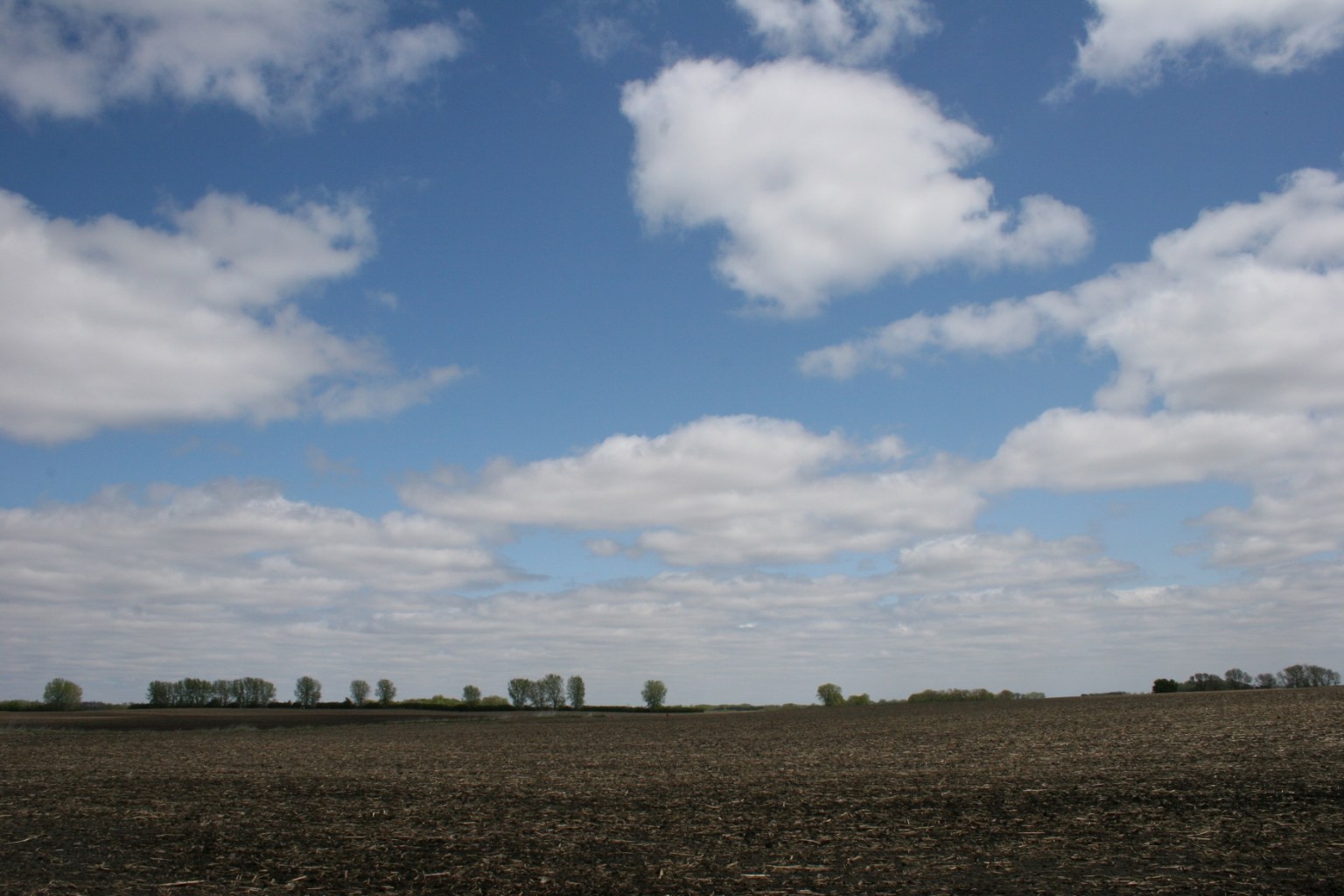 blogging | Minnesota Prairie Roots