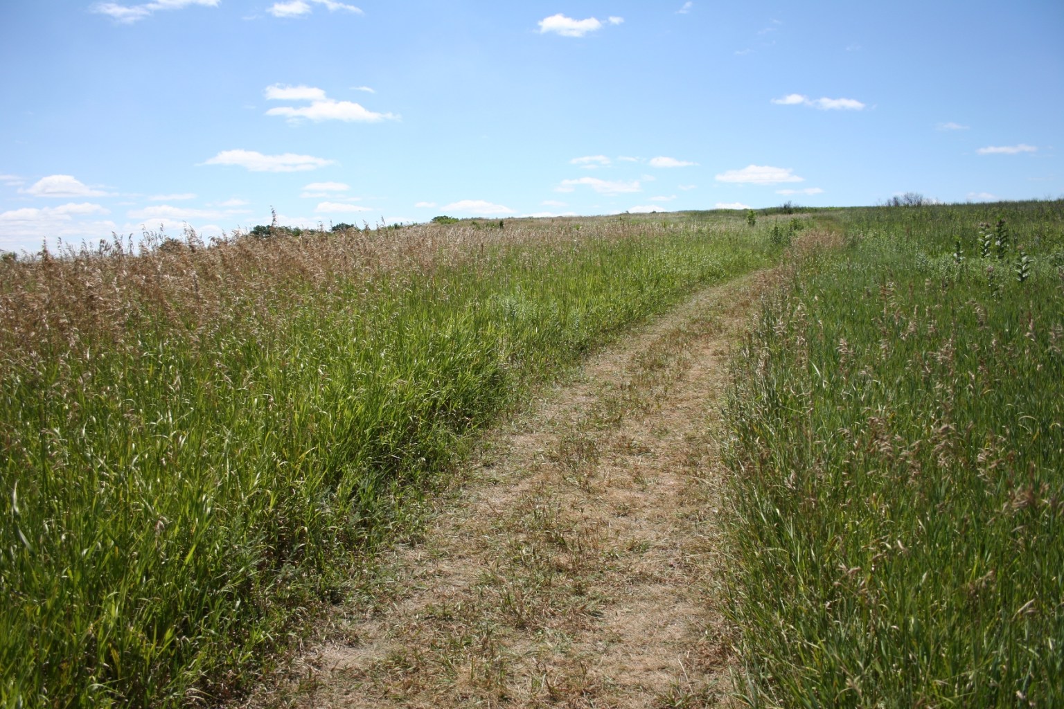 Luverne | Minnesota Prairie Roots