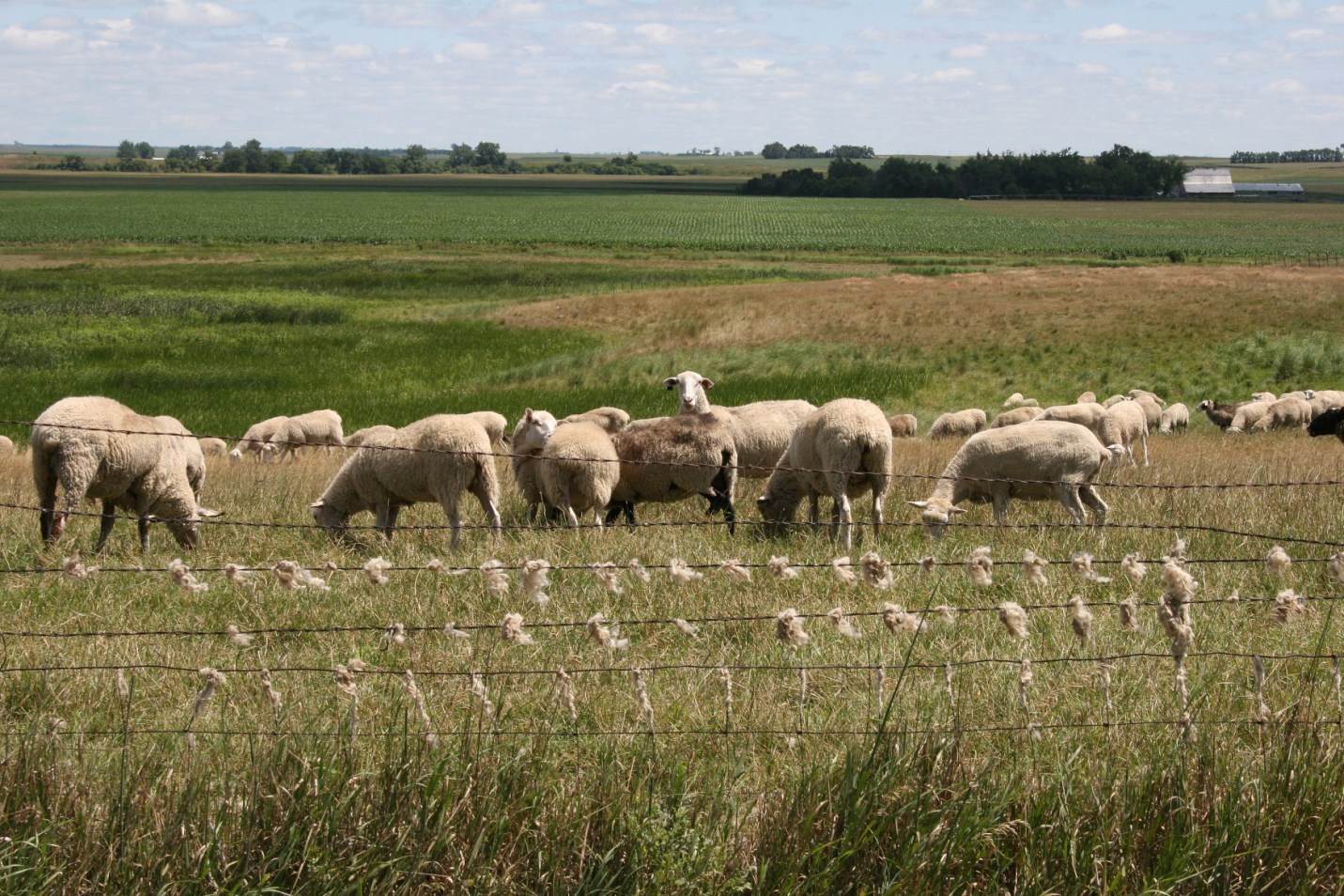 Rugged Blue Mounds State Park on the southwestern Minnesota prairie ...