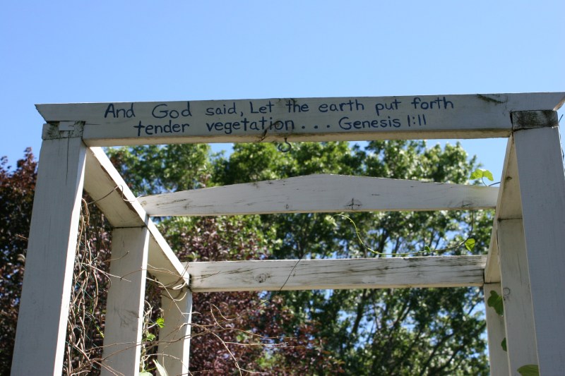 garden tour | Minnesota Prairie Roots