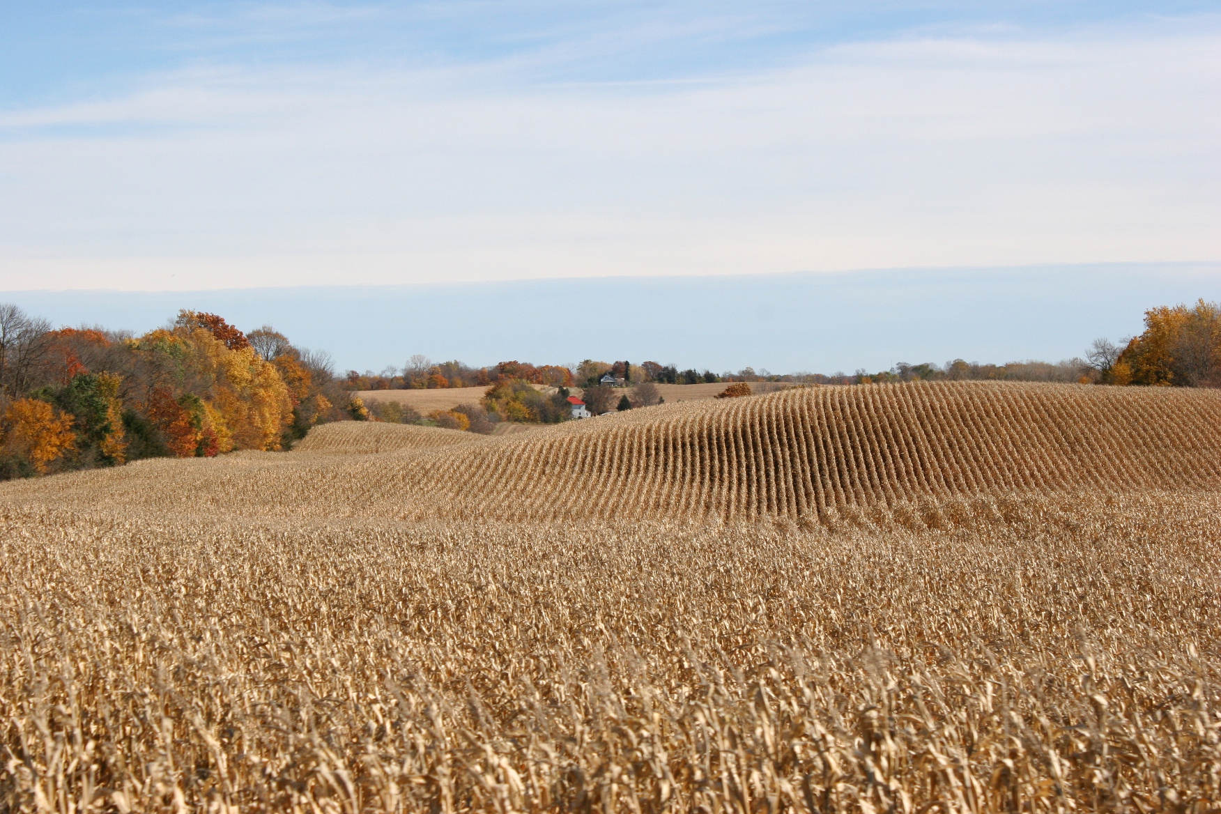 The season of autumn in rural Minnesota, a photo essay | Minnesota ...
