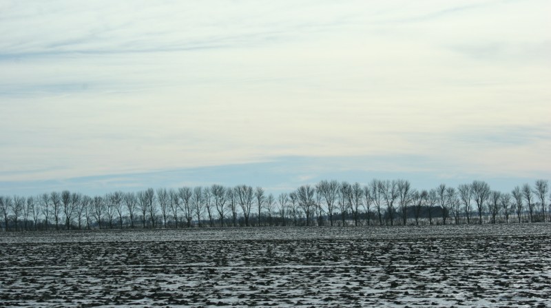 color | Minnesota Prairie Roots