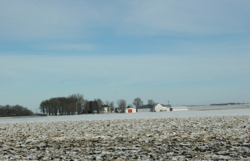 Morgan | Minnesota Prairie Roots