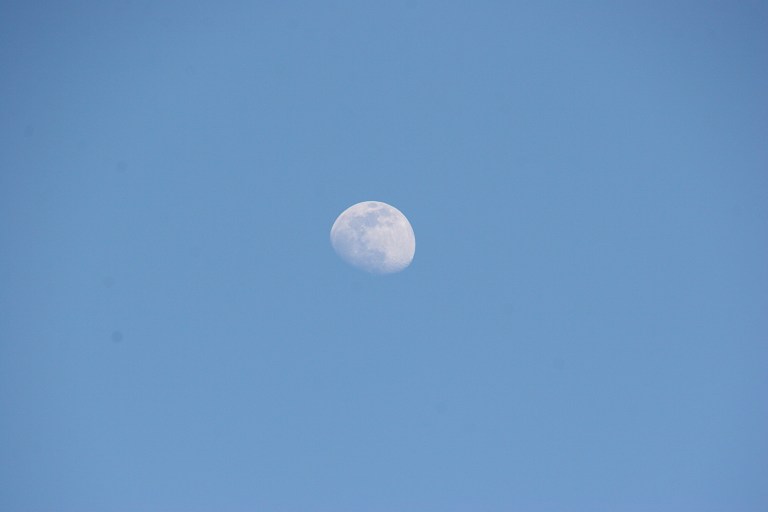 Waiting for the solar eclipse in Minnesota | Minnesota Prairie Roots