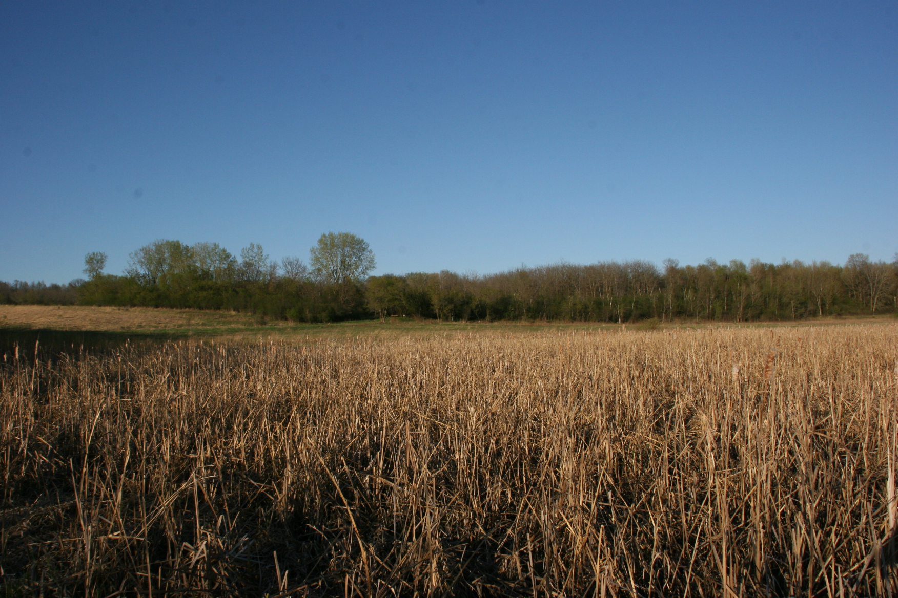 Nature center, #7213 overview of grassland | Minnesota Prairie Roots