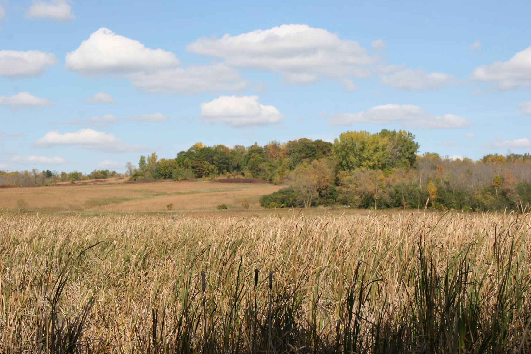 Interstate 35 | Minnesota Prairie Roots