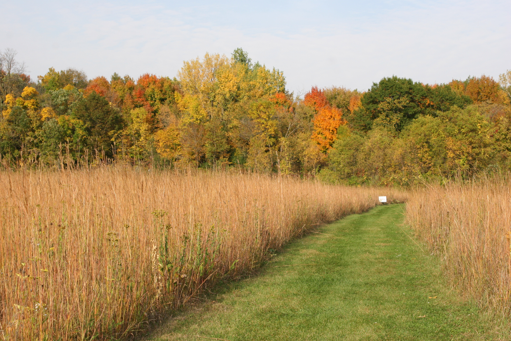 “A beautiful day in Faribault,” at River Bend | Minnesota Prairie Roots
