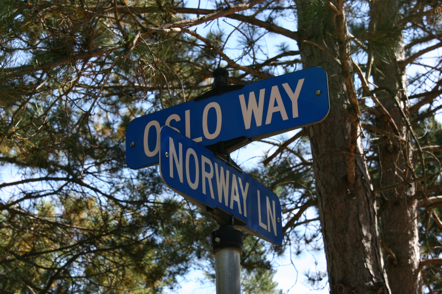 16 | October | 2020 | Minnesota Prairie Roots