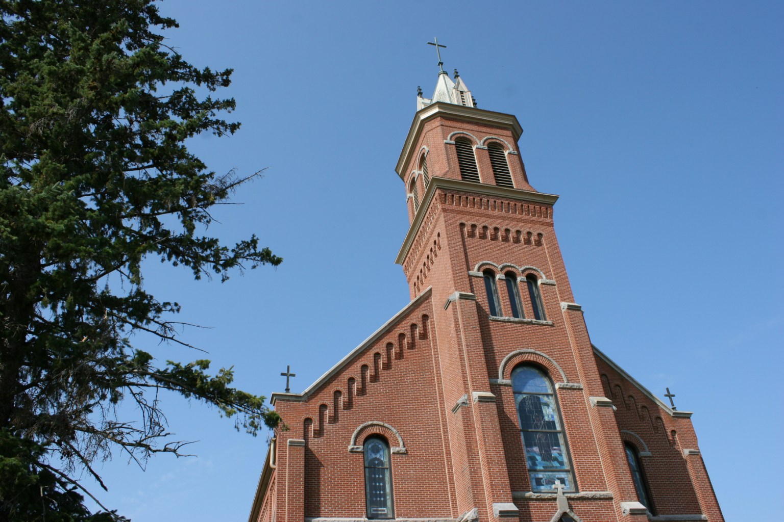 January | 2021 | Minnesota Prairie Roots