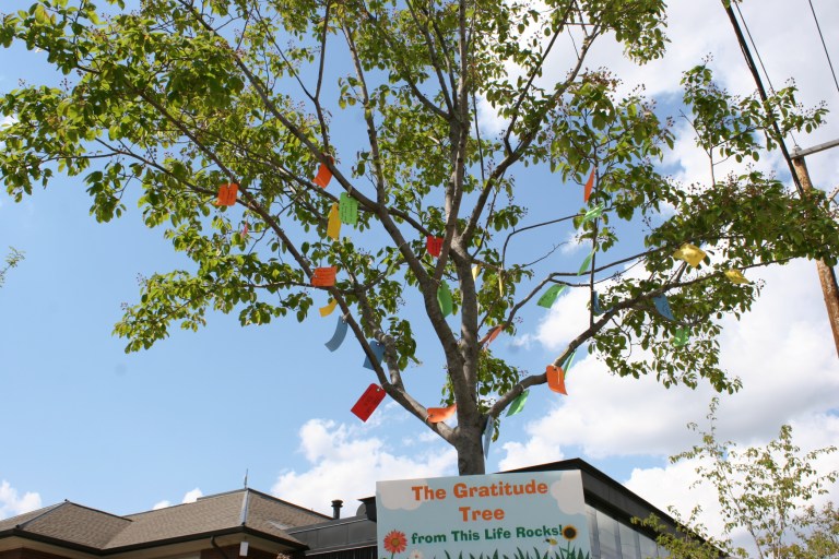 Minnesota Prairie Roots | Writing and photography by Audrey Kletscher ...