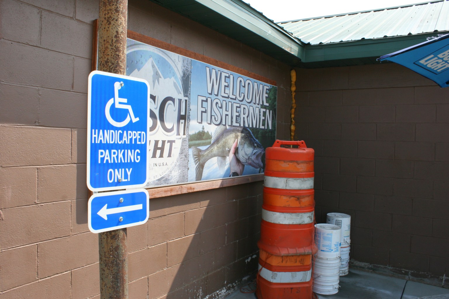 Racing woodticks in Cuyuna | Minnesota Prairie Roots