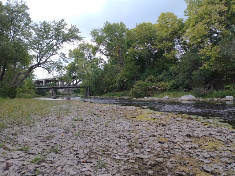 Straight River | Minnesota Prairie Roots