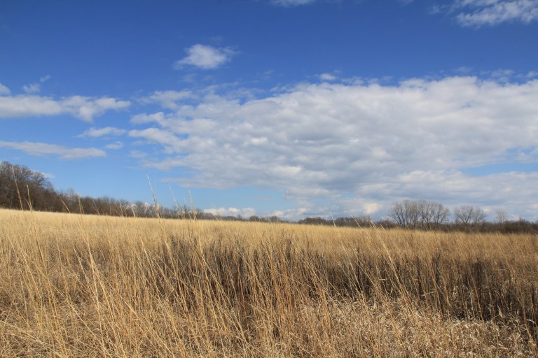 Minnesota Prairie Roots | Writing and photography by Audrey Kletscher ...