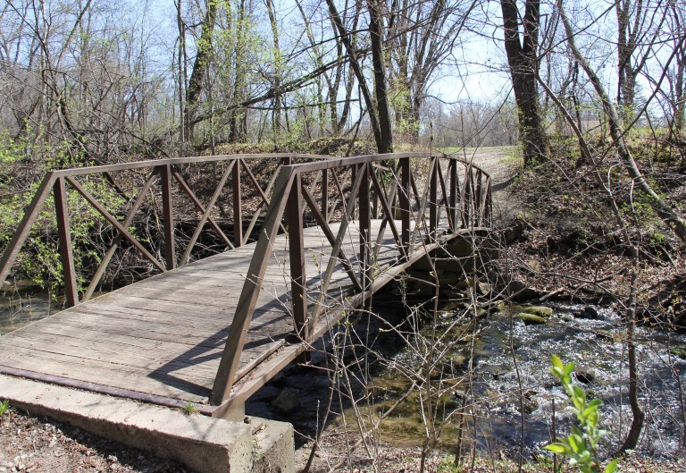 spring | Minnesota Prairie Roots