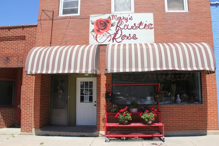roses | Minnesota Prairie Roots
