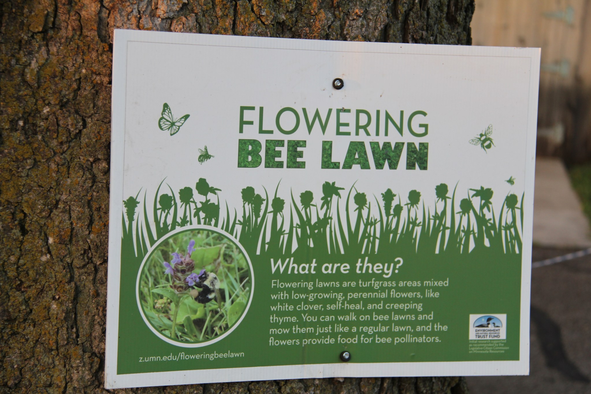 gardening | Minnesota Prairie Roots