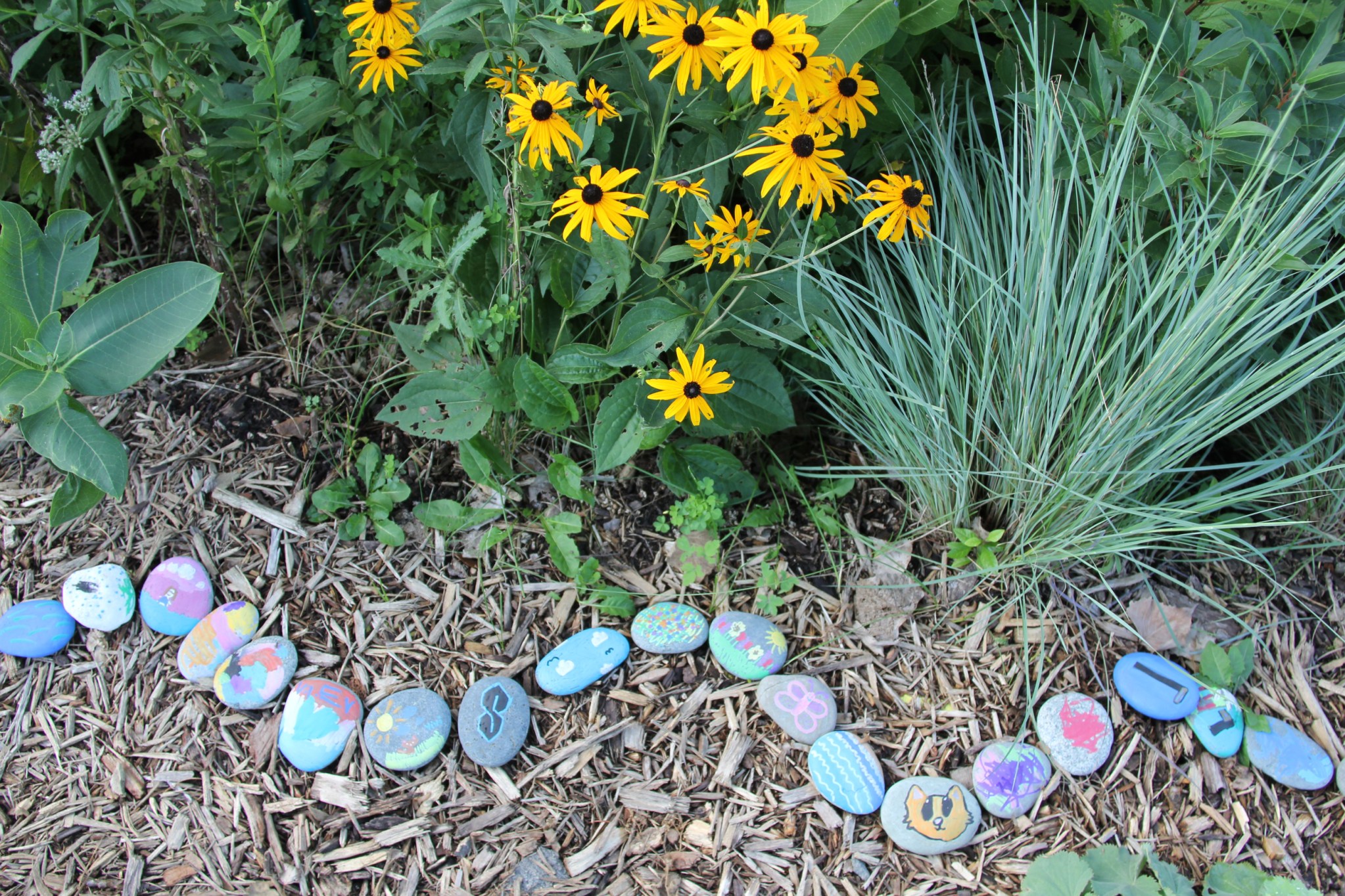 flowers | Minnesota Prairie Roots