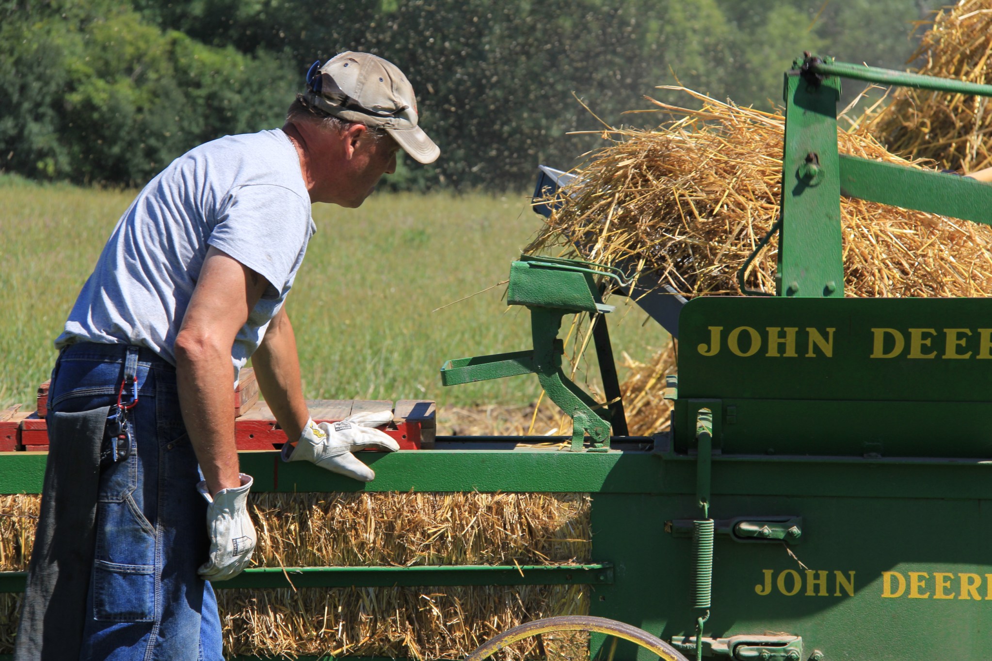 Dundas | Minnesota Prairie Roots
