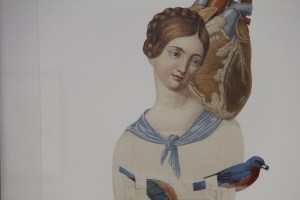 Minnesota Prairie Roots | Writing and photography by Audrey Kletscher ...