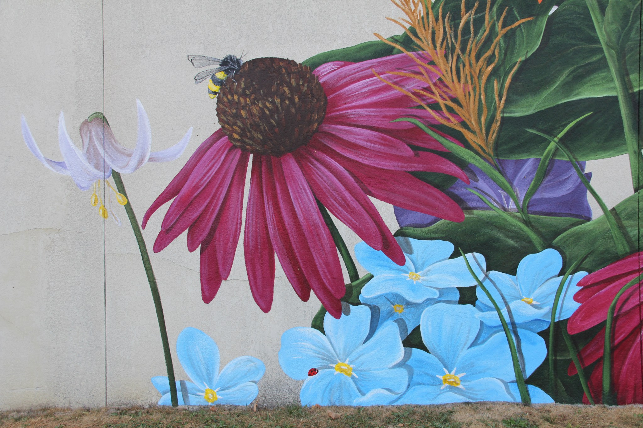 Minnesota Prairie Roots | Writing and photography by Audrey Kletscher ...